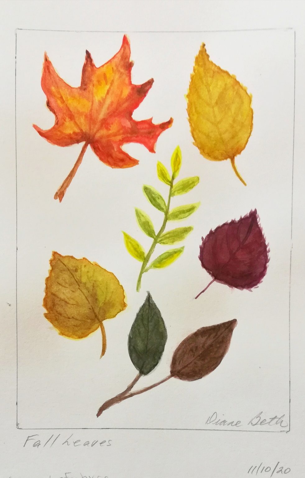 Fall Leaf Practice | Diane Constantine